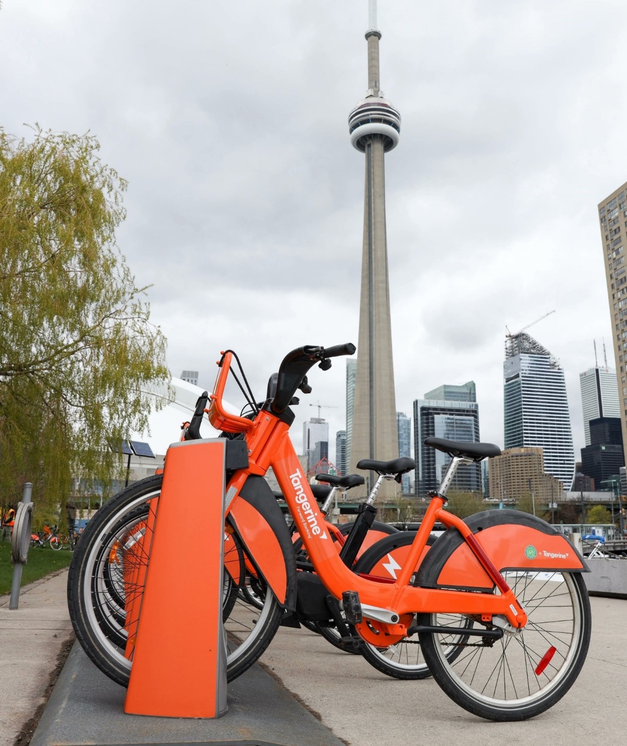 Young Professional Event – Toronto Bike Share Tour – Ontario Traffic ...